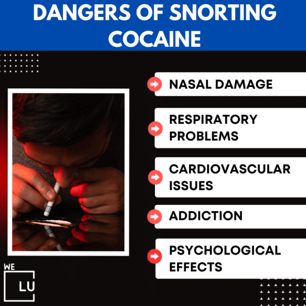 Snorting Cocaine: Risks, Effects, and Treatment Options | We Level Up CA